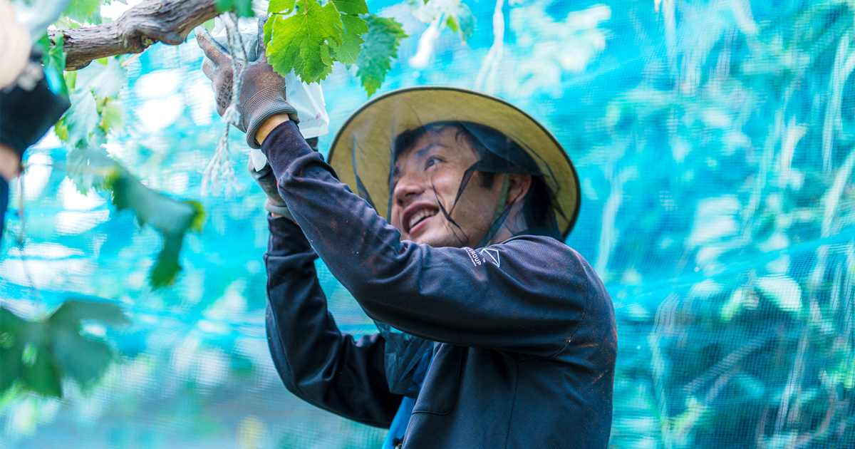 美星コメットファーム | BISEI COMET FARM